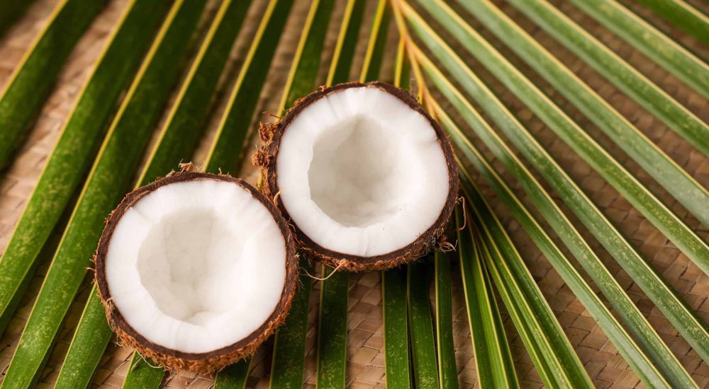 Carbón activado de cáscara de coco - Carbon Activated Europe